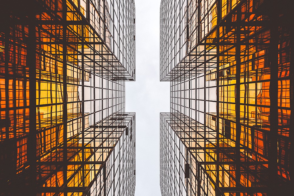 The Role of a Chief Development Officer in Entrepreneurial Ventures